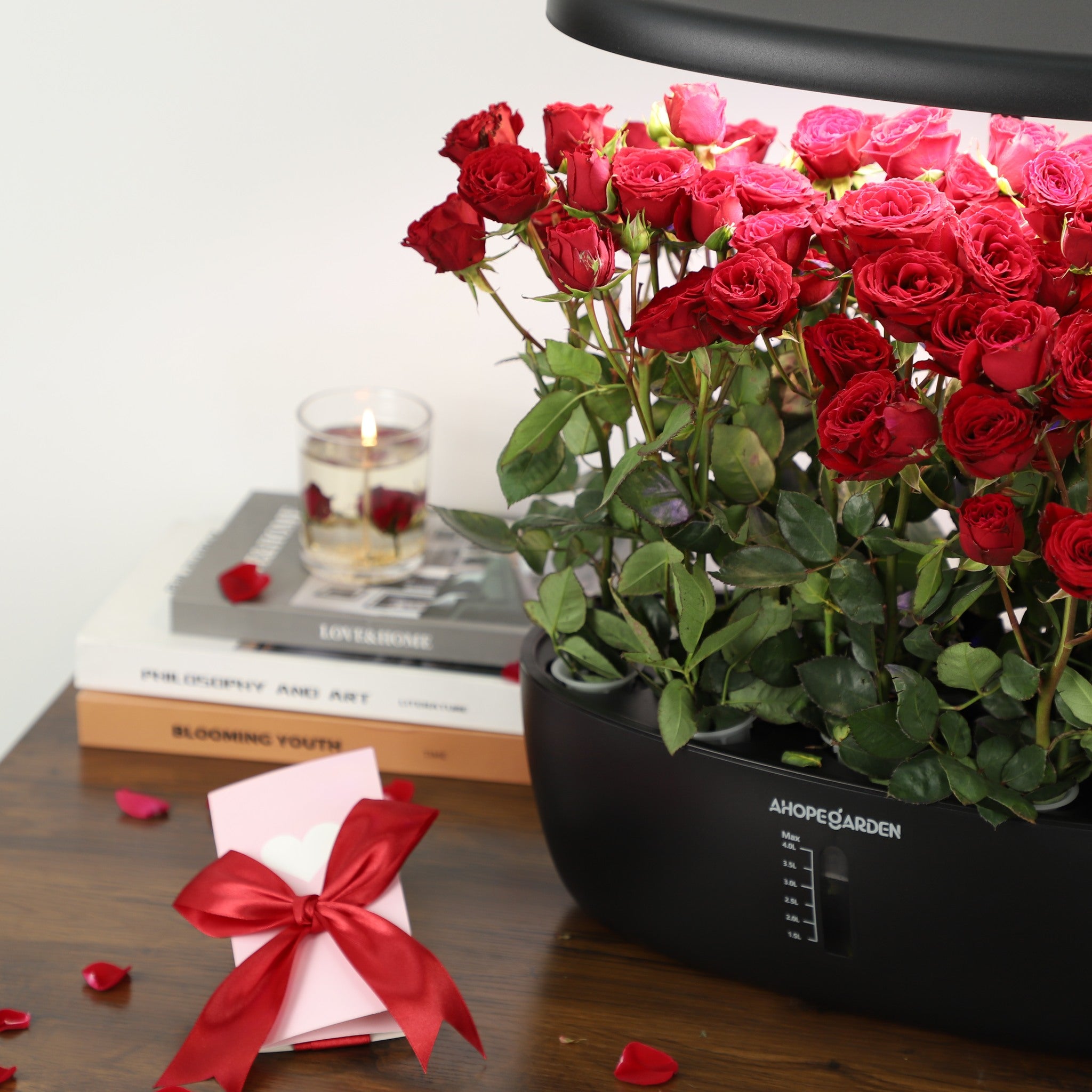 5 Reasons Why Ahope Smart Home Garden is the Best Valentine Gift ...