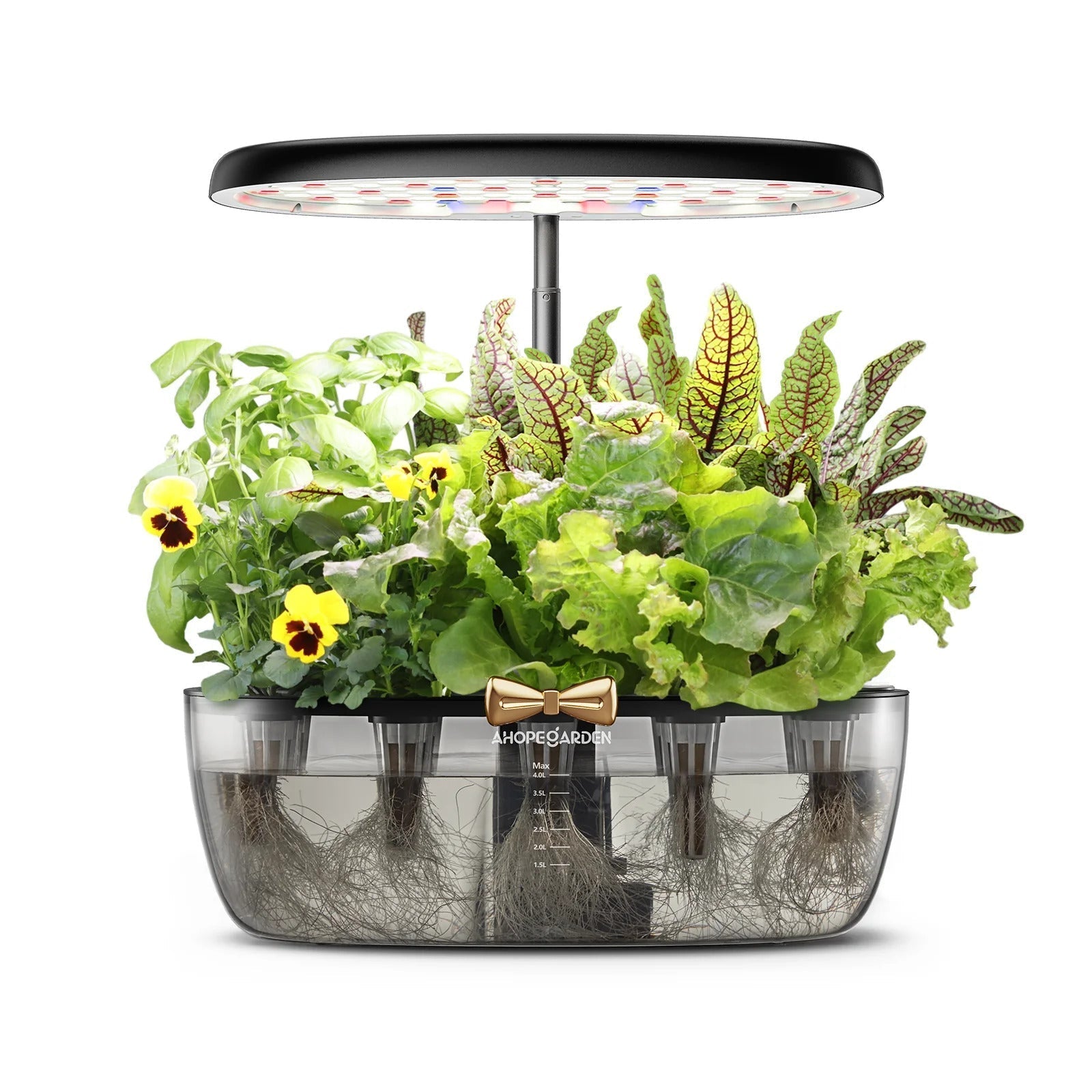 Ahope Debuts Transparent Indoor Smart Garden Special Promotion ...